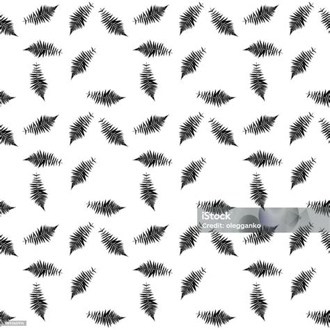 Libistones의 중국 남부 팜 리프의 그림자는 흑인과 백인 완벽 한 패턴입니다 벡터 일러스트 레이 션 0명에 대한 스톡 벡터 아트 및 기타 이미지 Istock
