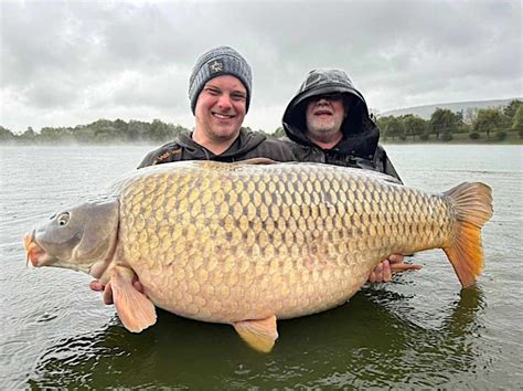 The Worlds Biggest Common Carp Has Been Caught Angling Times