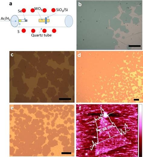 A Schematic Illustration For The Synthesis Of Monolayer Wse2 1−x S2x Download Scientific