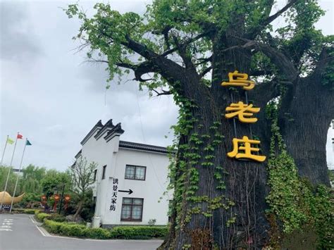 不负春日好时光艾维仕春季团建活动完美收官