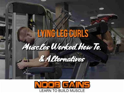 Lying Leg Curls Muscles Worked How To Alternatives NOOB GAINS