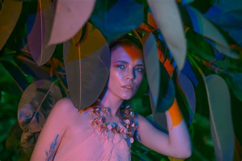 Paradise Birds Behance