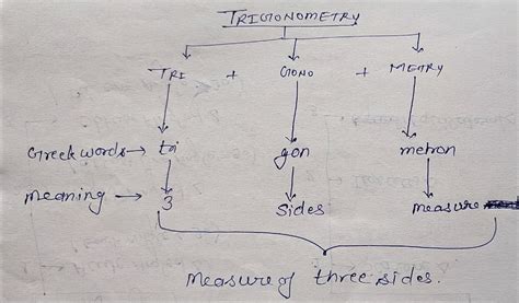 What Is Trigonometry And Trigonometric Ratios D P Classes