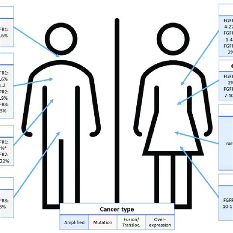 Prevalence Of Fgfr Alterations In Selected Tumor Types For Each Tumor