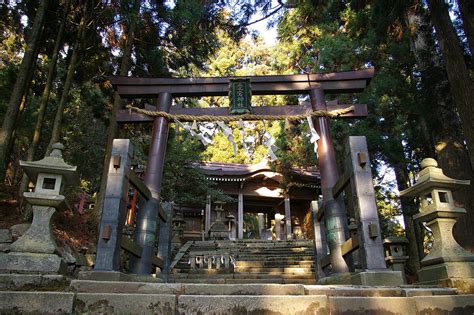 Atago Shrine Black Bear Map 2026 609 Incidents Kumamap