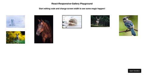 React Responsive Gallery Playground Forked Codesandbox