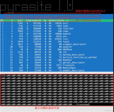 Python调试pyrasite Csdn博客