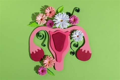 여성 생식 기관 사진 무료 고품질 사진 다운로드 Freepik