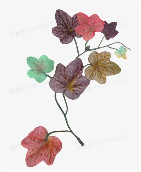 枝叶图片免费下载 Png素材 编号192ix5d4w 图精灵