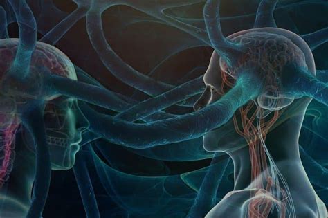 Deep Brain Stimulation To Brain Area Linked To Reward And Motivation Is Potential Therapy For