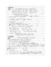 Signals Hw Pdf Course Hero