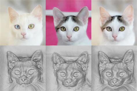 Ahsen Khaliq On Linkedin 3d Aware Blending With Generative Nerfs Abs Buff Ly 3hvwhvh…