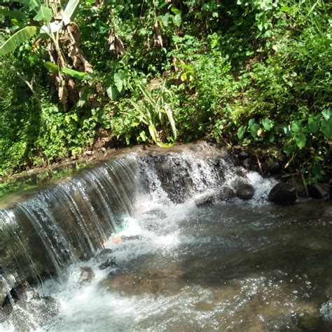 Mga Batis Sa Pilipinas