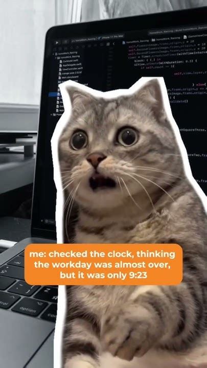 Have A Good Week👨🏼‍💻developerlife Programmerlife Techcommunity Softwarecompany Memes Youtube