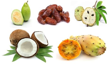 Fruits 3 Diagram Quizlet