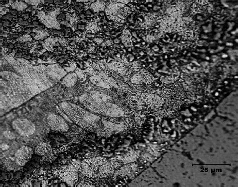 D Optical Image Of The Cusil Braze Note The Inhomogeneous