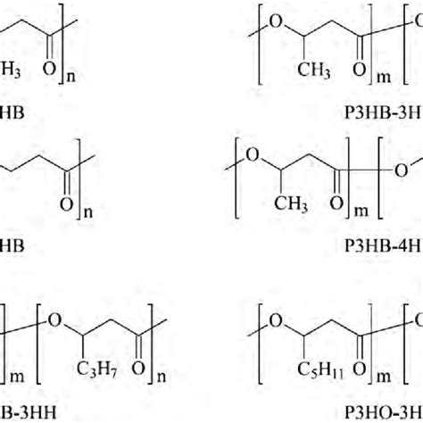6 Linear And 3d Model Of 2 Acrylamido 2 Methylpropane Sulfonic Acid Download Scientific