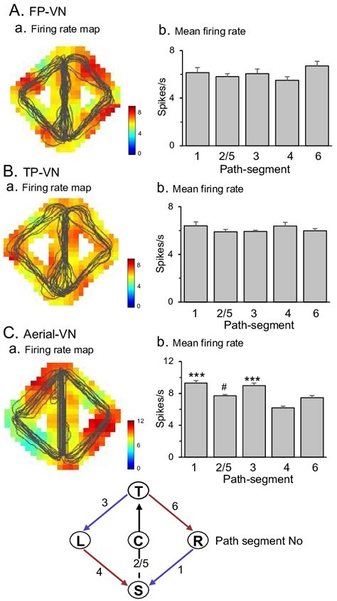 An Example Of A Path Segment Differential Neuron A C Firing Rate