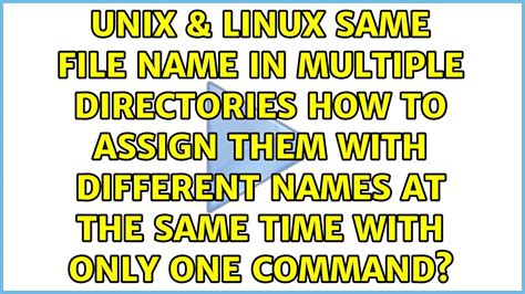 Same File Name In Multiple Directories How To Assign Them With
