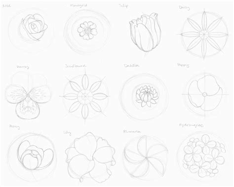 Drawings Of Flowers Colored Pencil Drawing Flowers Red Flower Ebay