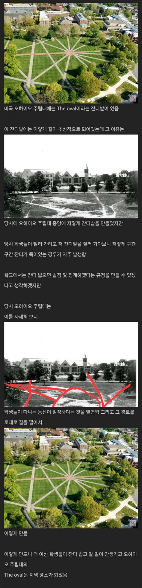 잔디밭에 들어가는걸 금지하지 마세요