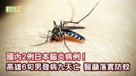 國內2例日本腦炎病例！高雄6旬男發病九天亡 醫籲落實防蚊 蕃新聞