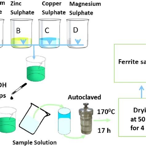 Schematic Diagram For The Hydrothermal Synthesis Of Cd Zn Co Doped Mg