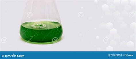 Algae Research In Laboratories Biotechnology Science Concept Marine