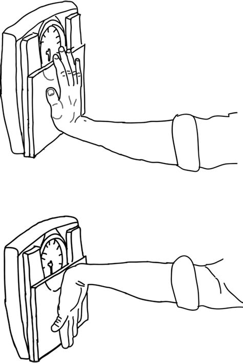 Figure 1 From In Vivo Kinematics Of The Scaphoid Lunate Capitate And Third Metacarpal In