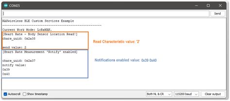 Ble Custom Service Rakwireless Documentation Center