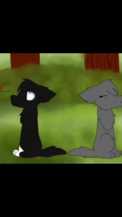 Коты воители Бич и Кровоцапка Youtube