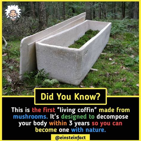 Did You Know” 30 Interesting Facts About The World