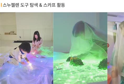 2024년 상반기 특강 스누젤렌 도구의 활용방법과 치료계획 한국pnp전문가협회