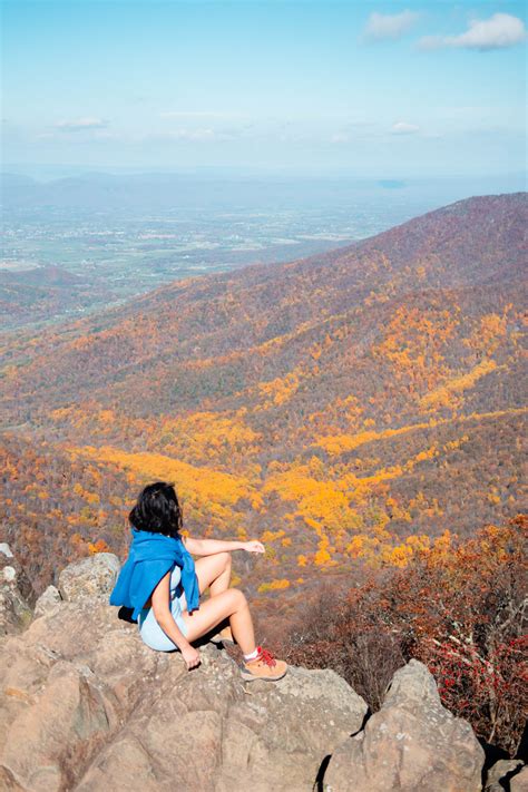 Shenandoah National Park Fall Foliage Guide For Peak Fall Color