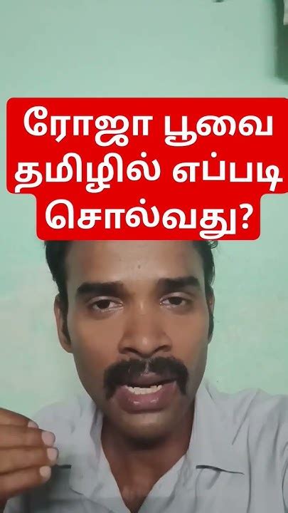 ரோஜா பூவை தமிழில் எப்படி சொல்வது Youtube