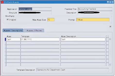 Aliases Setup Steps Oracle General Ledger R12 Peruse Technologies