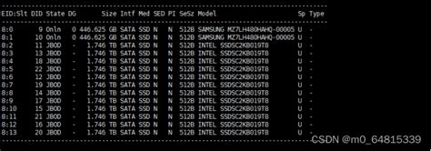 raid级别介绍，storcli64，sas3ircu系统下做raid工具使用。 csdn博客