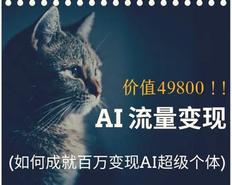 首页模板一 稻虎网 热门短视频素材库 4k高清无水印素材 自媒体副业资源网