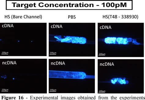 Figure 16 From Bead Based Microfluidic System For Dna And Rna Detection Catarina Semantic Scholar