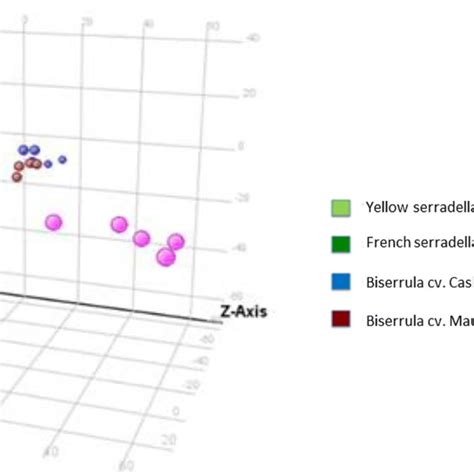 Three Dimensional Visual Representation Of Principal Component Analysis