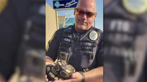Guest Surprised By Python While Making Breakfast At Airbnb