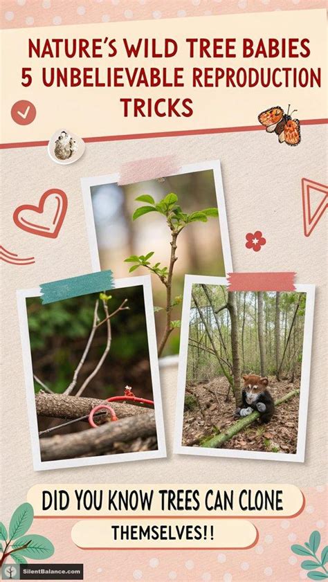 Natures Wild Tree Babies 5 Unbelievable Reproduction Tricks Silent