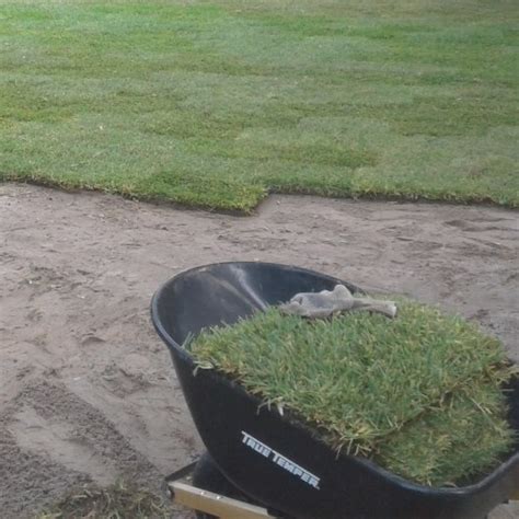 St Augustine Sod Installed Sod Installation And Landscape Design And Installation In Kenner