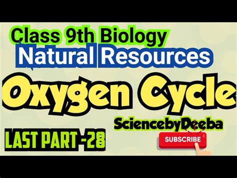 Oxygen Cycle Class 9