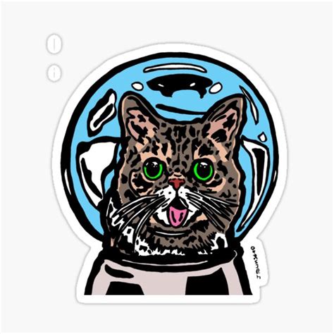 Lil Bub In Space Colourcolor Portrait Jtownsend Sticker For Sale By