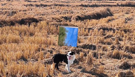 构建3d旋转相册：使用javaweb与css实现 Csdn博客