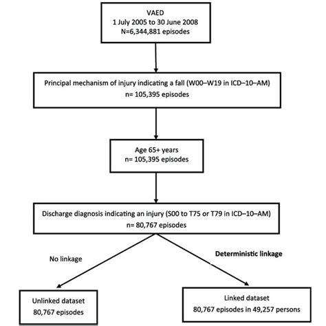 A Flow Chart Of Data Extraction Process Icd10am International Download Scientific Diagram