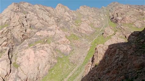 Козы и овцы пастбище🐐🐐🐑🐑🐏 Youtube