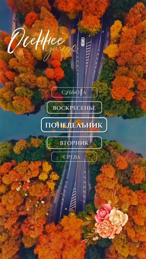 понедельник дни недели Волны Субботы Профиль