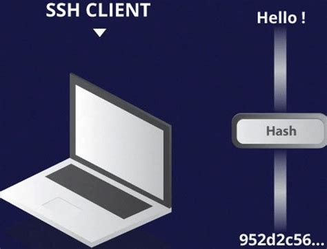 Decoding Ssh Encryption Ports And Connections Explained